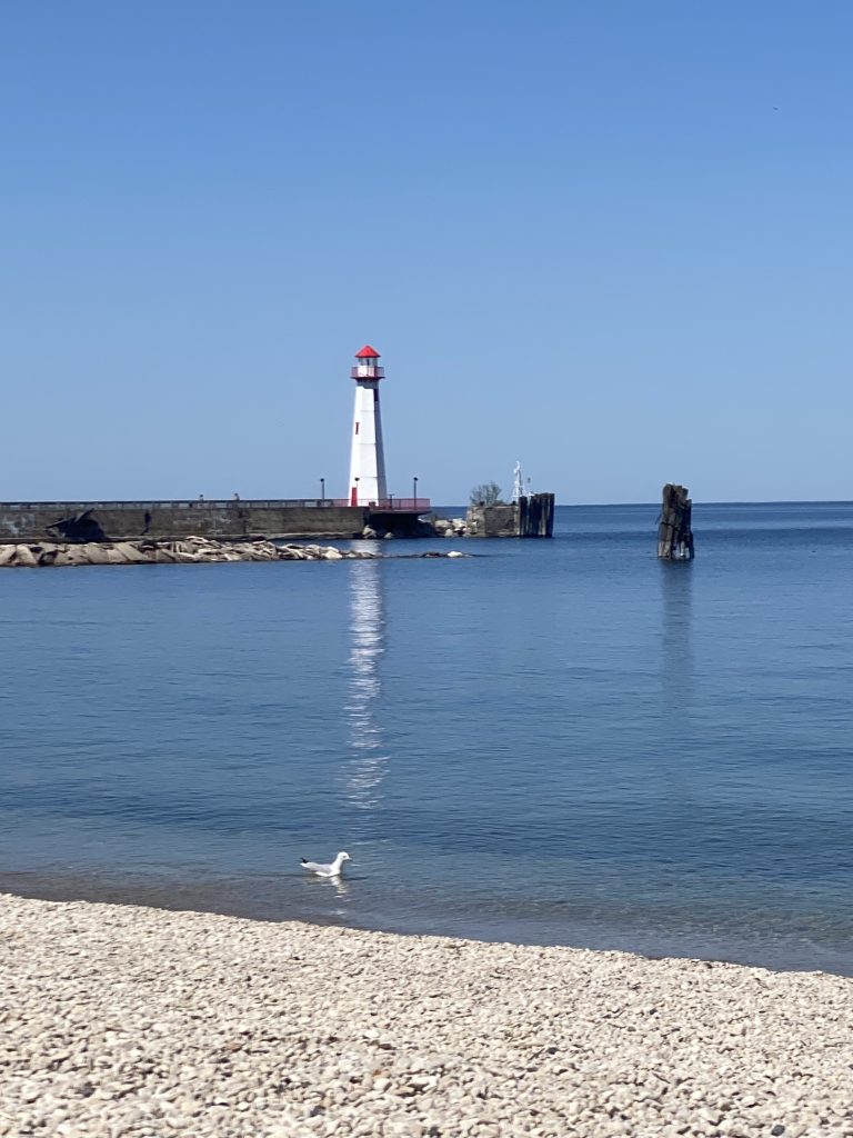 THIS IS HOW YOU WILL KNOW - ChristianWritersBookstore.com